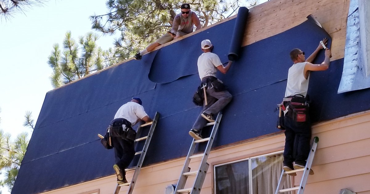 About Us | Gryphon Roofing & Construction