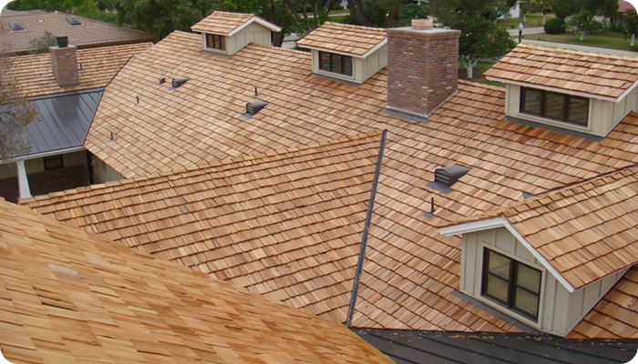 Residential Roofing | Gryphon Roofing & Construction